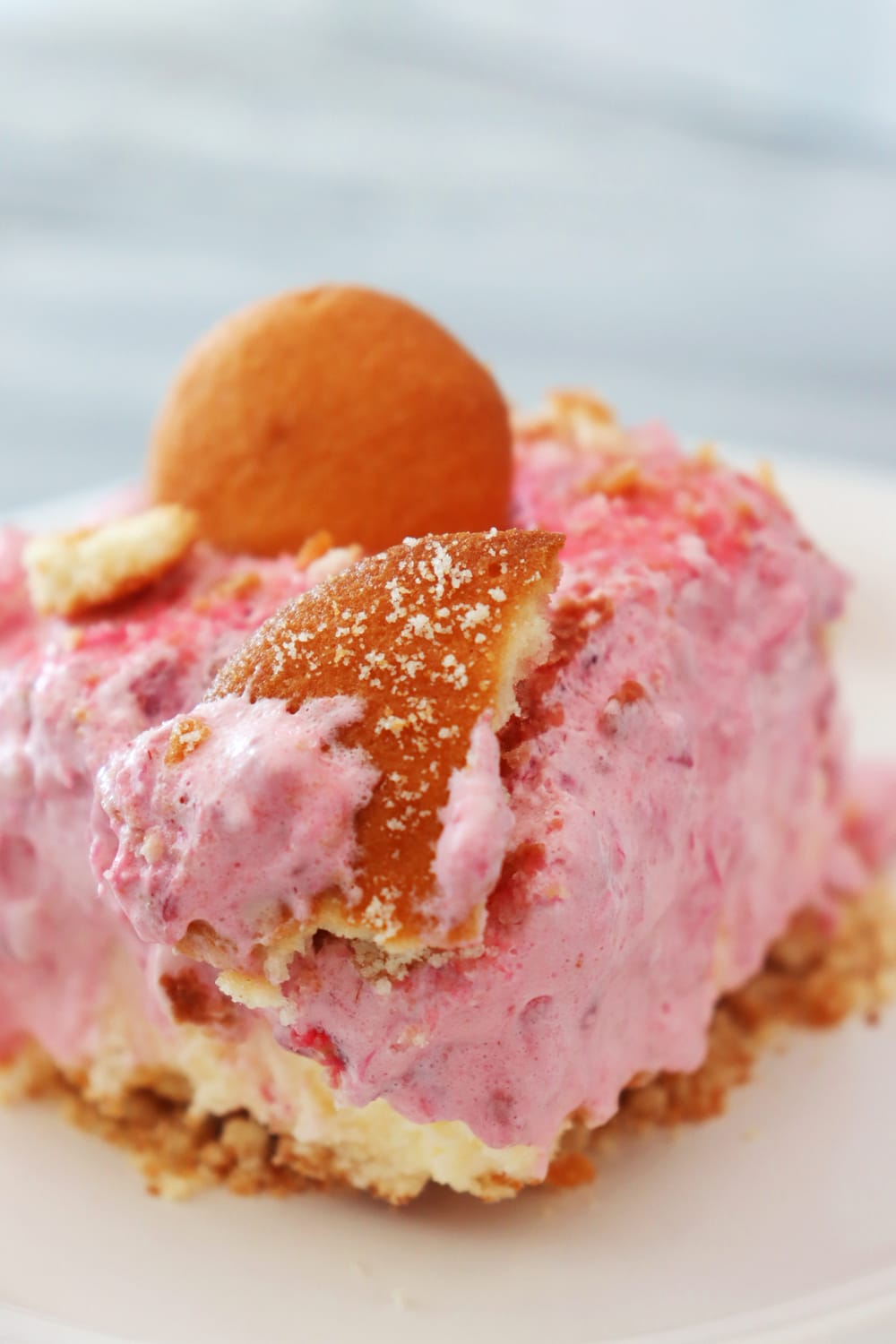 Raspberry Delight - Nance Co.
